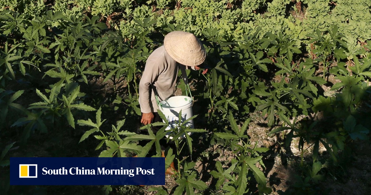 Hong Kong squatter residents to get better housing offer to pave way ...