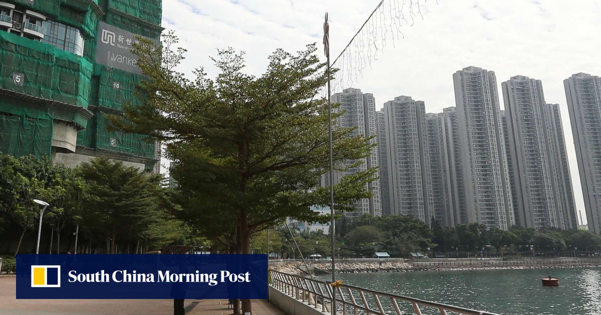 Man dies after being hit on head by falling bamboo pole from ...
