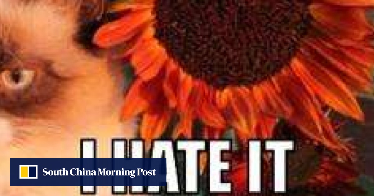 Game review: despite its name, Grumpy Cat’s Worst Game Ever is solid ...