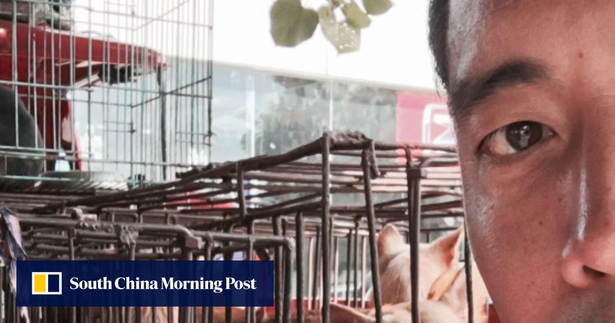 How Yulin dog rescuer Marc Ching went from hero to hounded | South ...