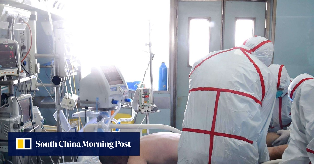 China death toll from bird flu soars to 79 in January | South China ...