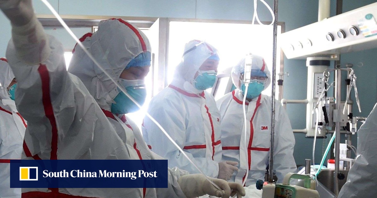 Bird flu affecting half of China: ‘controllable’ but may spread further ...