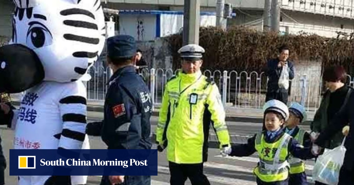 Zebra mascots lead the way in road safety in Chinese city | South China ...