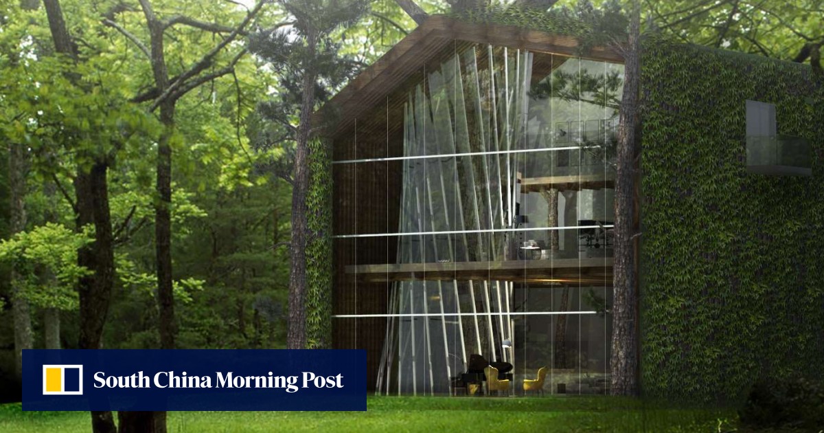 This HK$19 million eco-friendly treehouse collects water and regulates ...