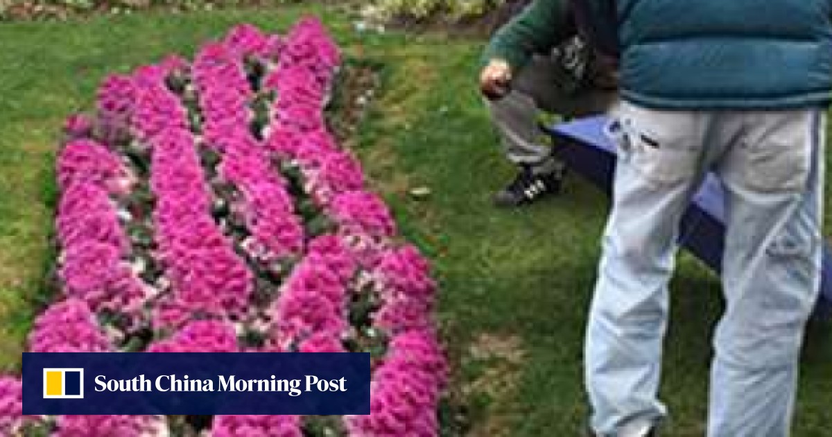 Shanghai cemetery promotes space-saving ‘family plan’ burial plots as ...
