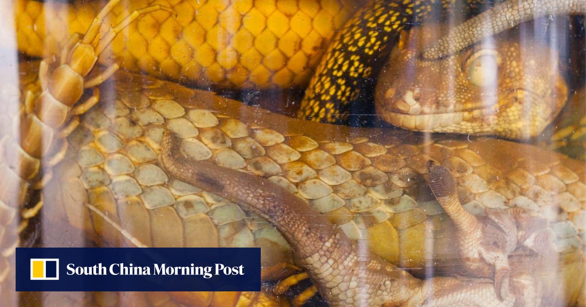 Five unethical foods available in Hong Kong | South China Morning Post