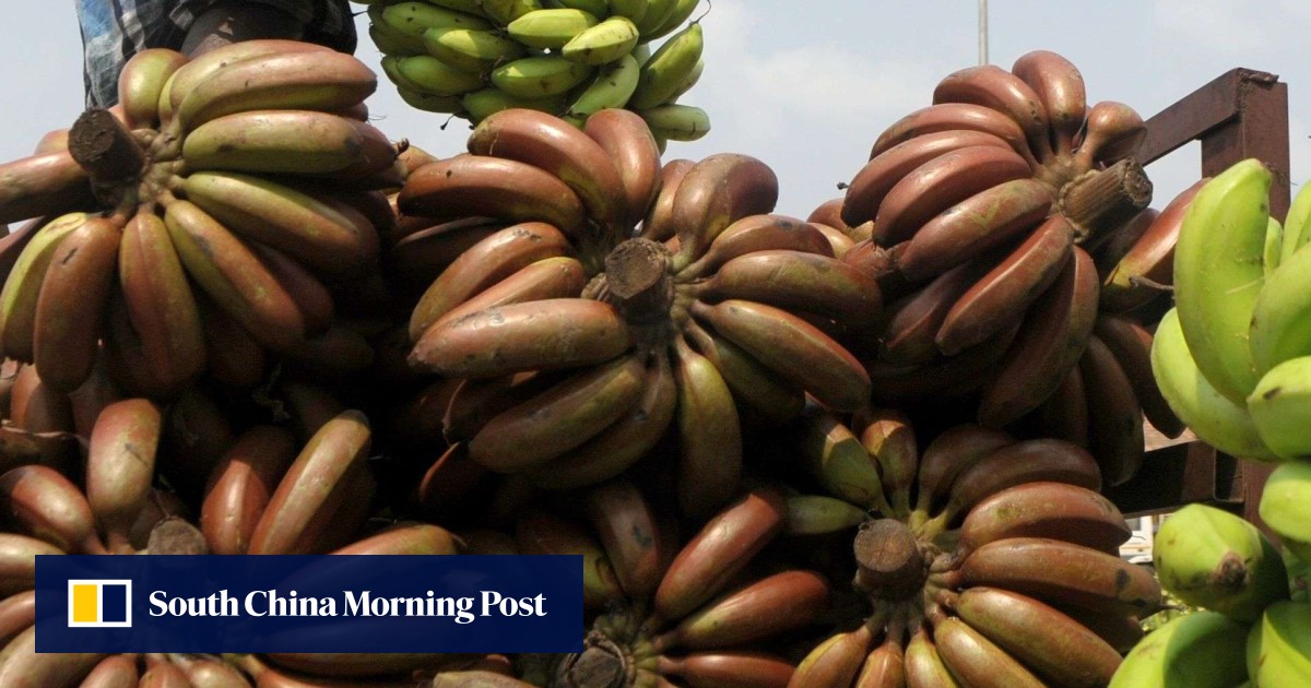 Made in Asia for Asia: How the rise of its middle class is remaking the ...