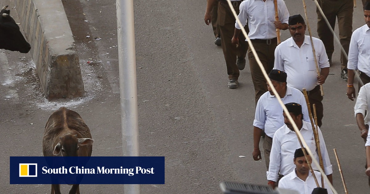 India bans sale of cows for slaughter sparking protests by beef and ...