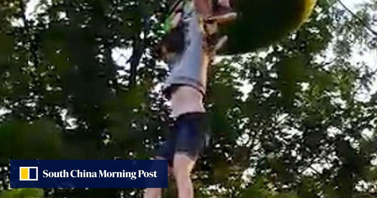 ‘It’s ok to let go’: man catches teen falling from amusement park ride ...