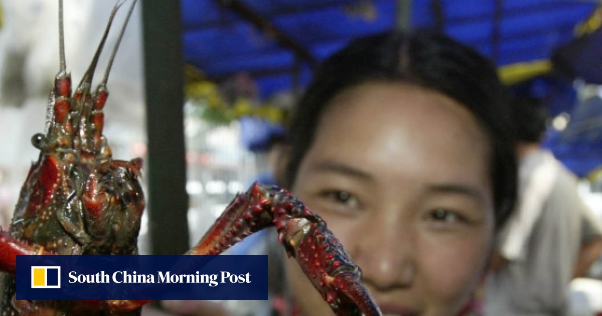 China’s craving for crayfish creates US$2 billion business | South ...