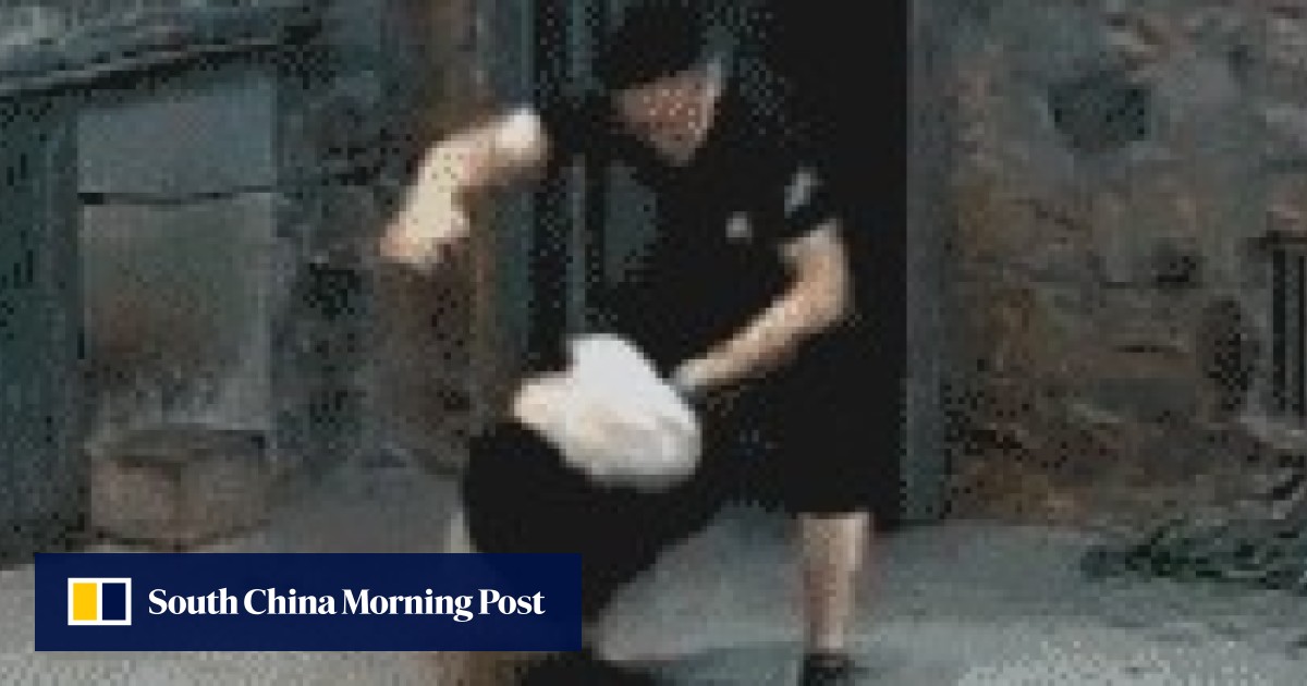 Giant pandas bite back at manhandling keepers in China | South China ...