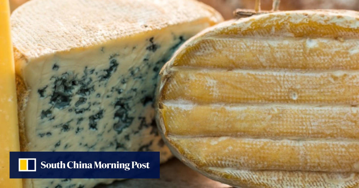 World’s top chefs say these are their favourite cheeses | South China ...