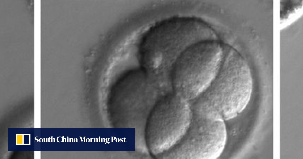 US succeeds in altering genes of human embryo to prevent mutation for a ...