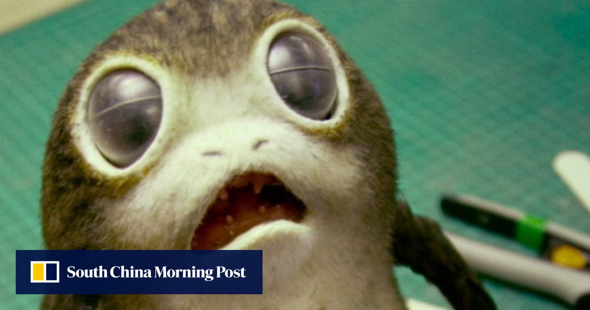 Are the Porgs in Star Wars: The Last Jedi the next Ewoks – or the next ...
