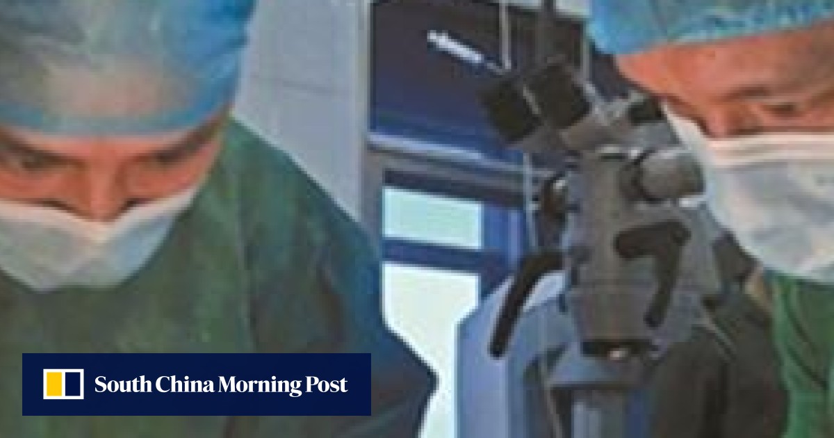 Sight in Chinese man’s eye restored after pig cornea transplant | South ...