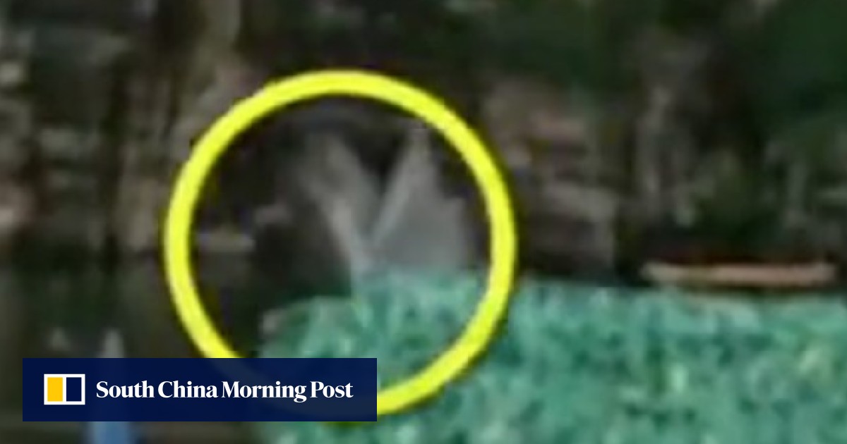 Chinese teen survives 50ft plunge into river after bungee rope fails ...