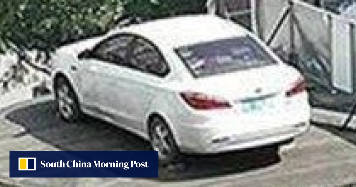 Parked car blocking the way? Chinese firm hires crane to move it ...