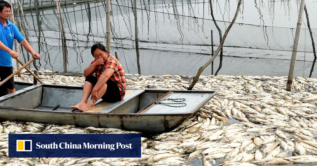 As China comes clean on water quality, the message to polluters is ...
