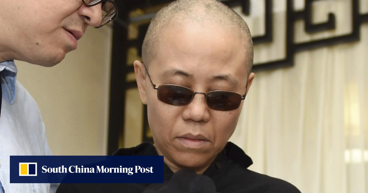 Liu Xia, wife of late Chinese Nobel laureate Liu Xiaobo, ‘back in ...