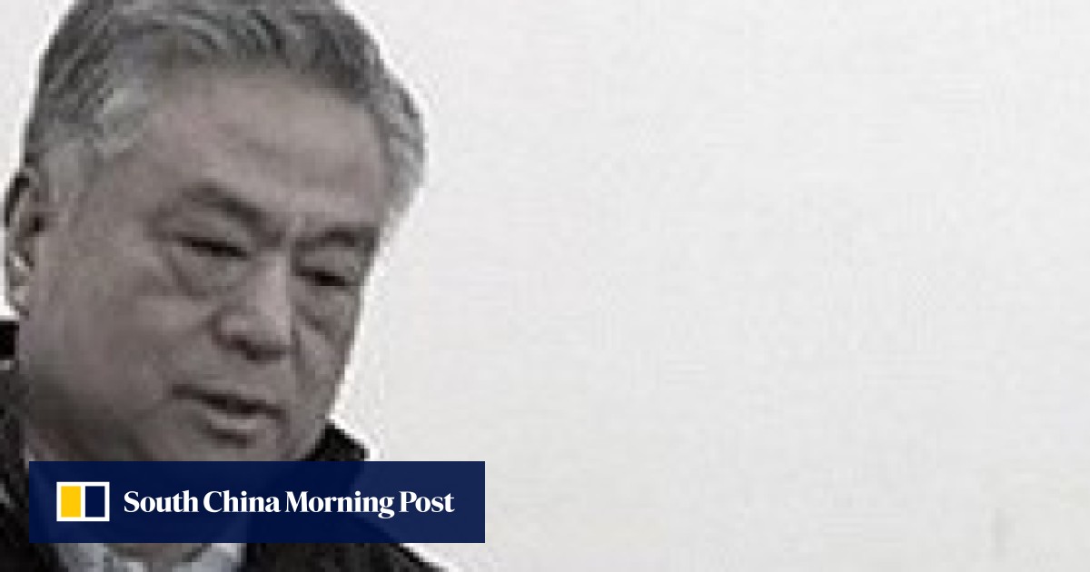 The stealth mission that brought down a Chinese police chief | South ...