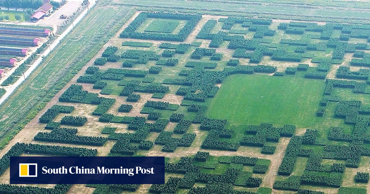 Chinese village builds giant QR code in field in effort to connect with ...