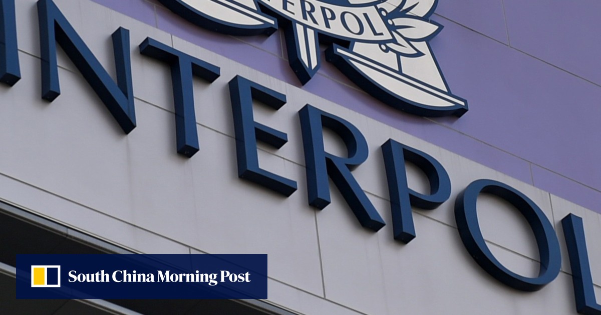 China involved in 3,000 Interpol investigations, state media says ...