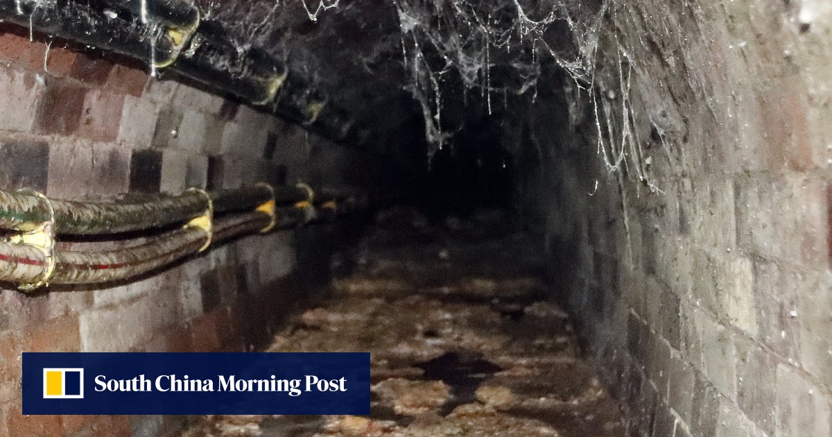 90 per cent of London restaurants are contributing to city’s disgusting ...