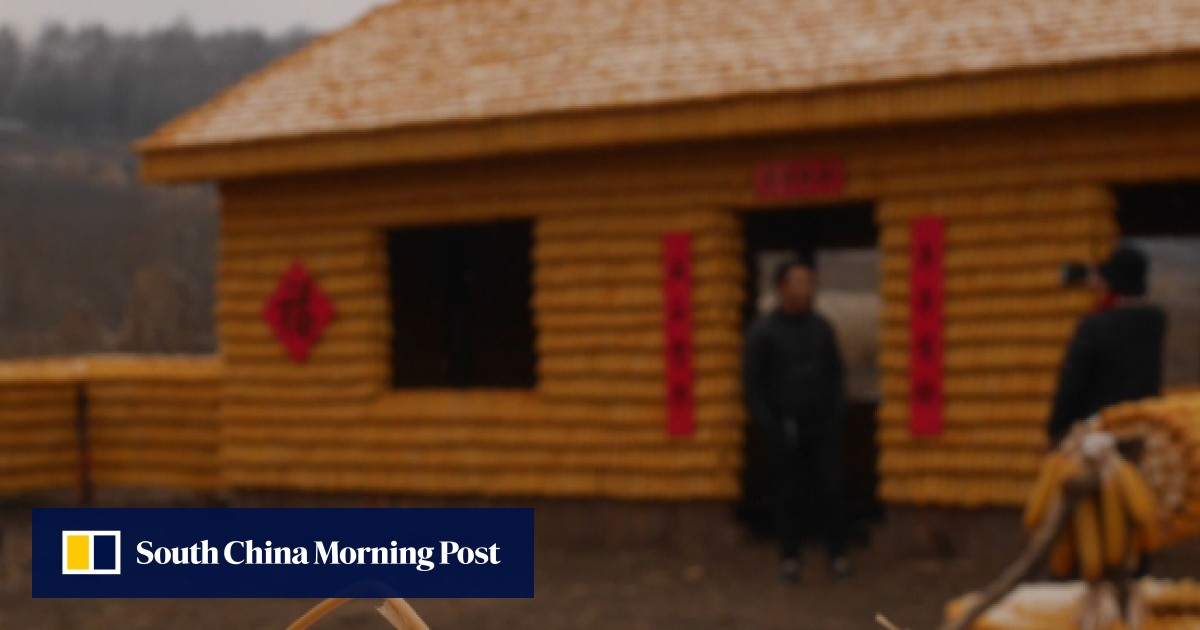 Chinese villager creates farm buildings out of cobs of corn | South ...