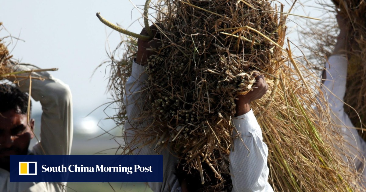 World has more farmland with India, US and China ranked as the top ...