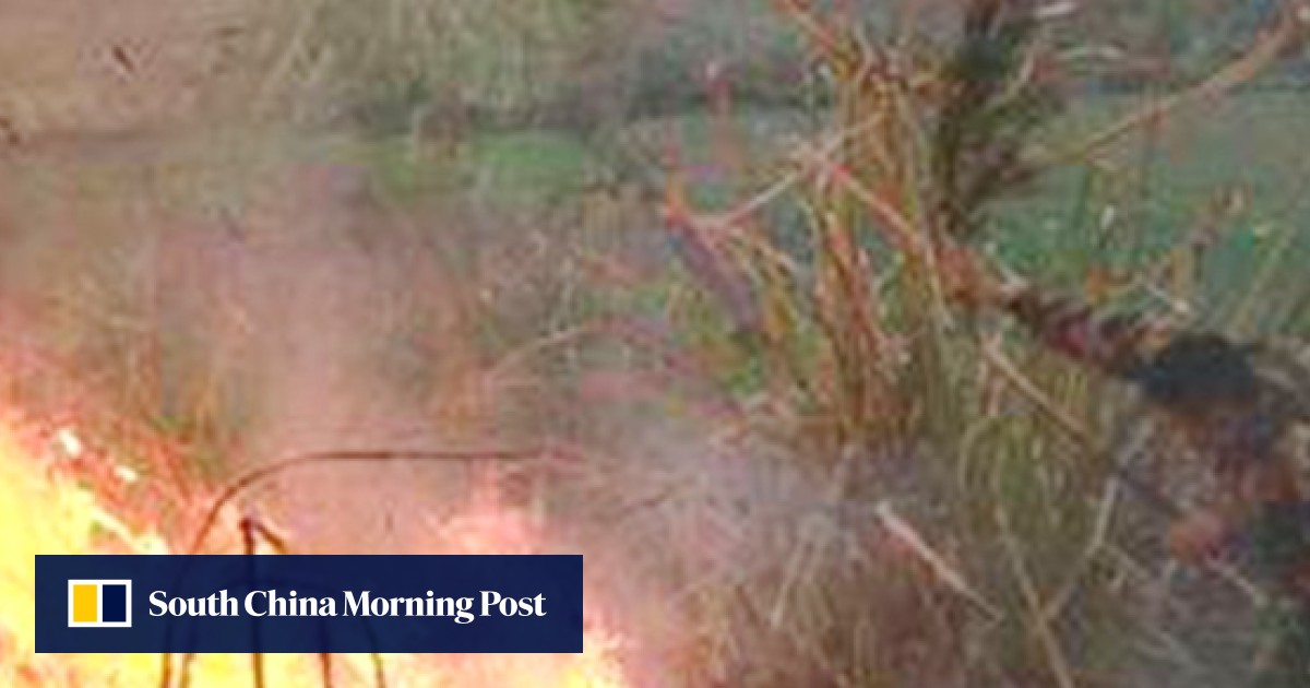Forest fire burns across mountainside in western China | South China ...