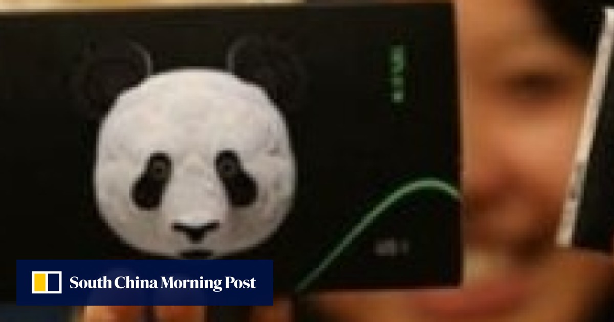 Chinese company uses giant panda poop to make ‘luxury’ tissues | South ...