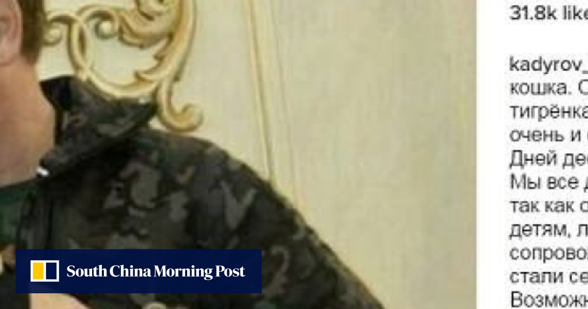 Russia wants answers after strongman Chechen leader’s kitty-filled ...