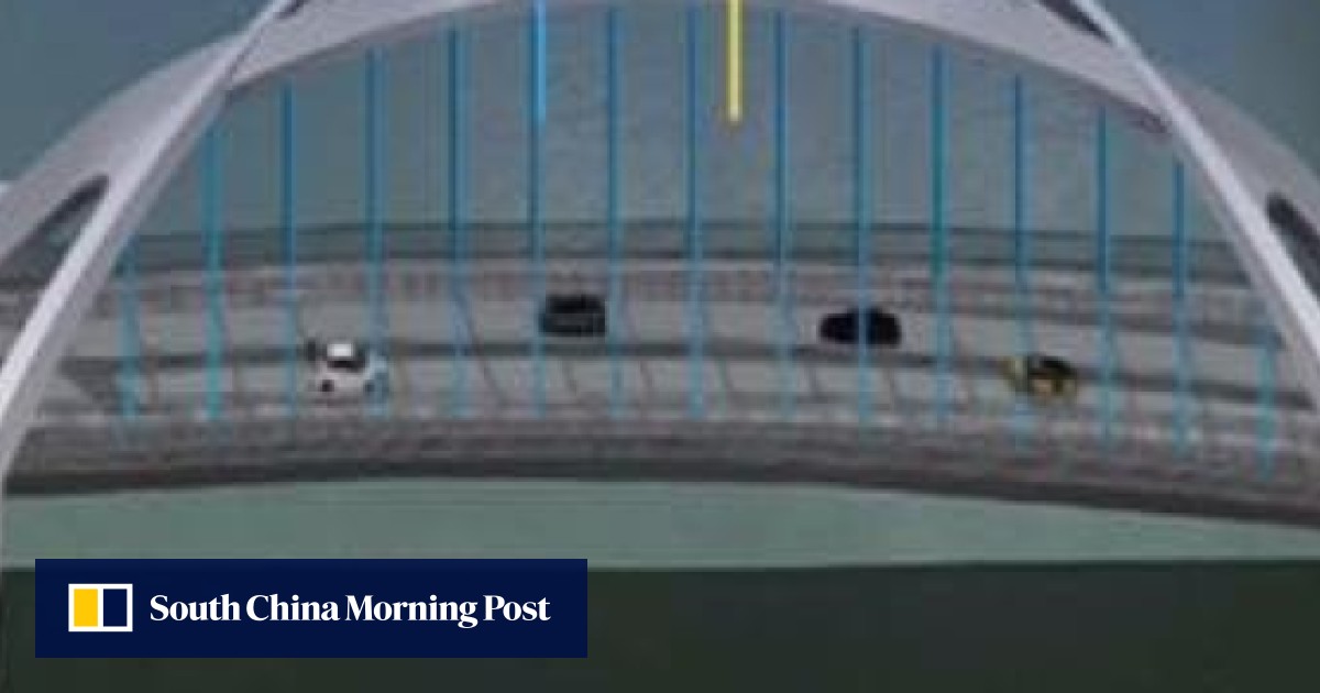 ‘We need it like we need a hole in our head’: Chinese friendship bridge ...