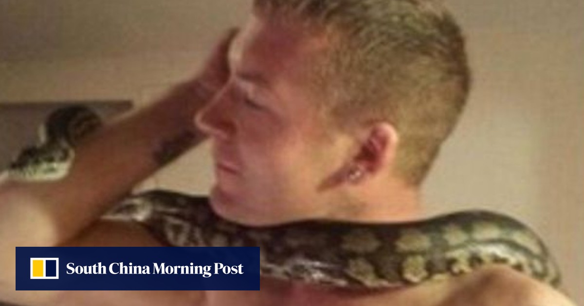 python snake hampshire