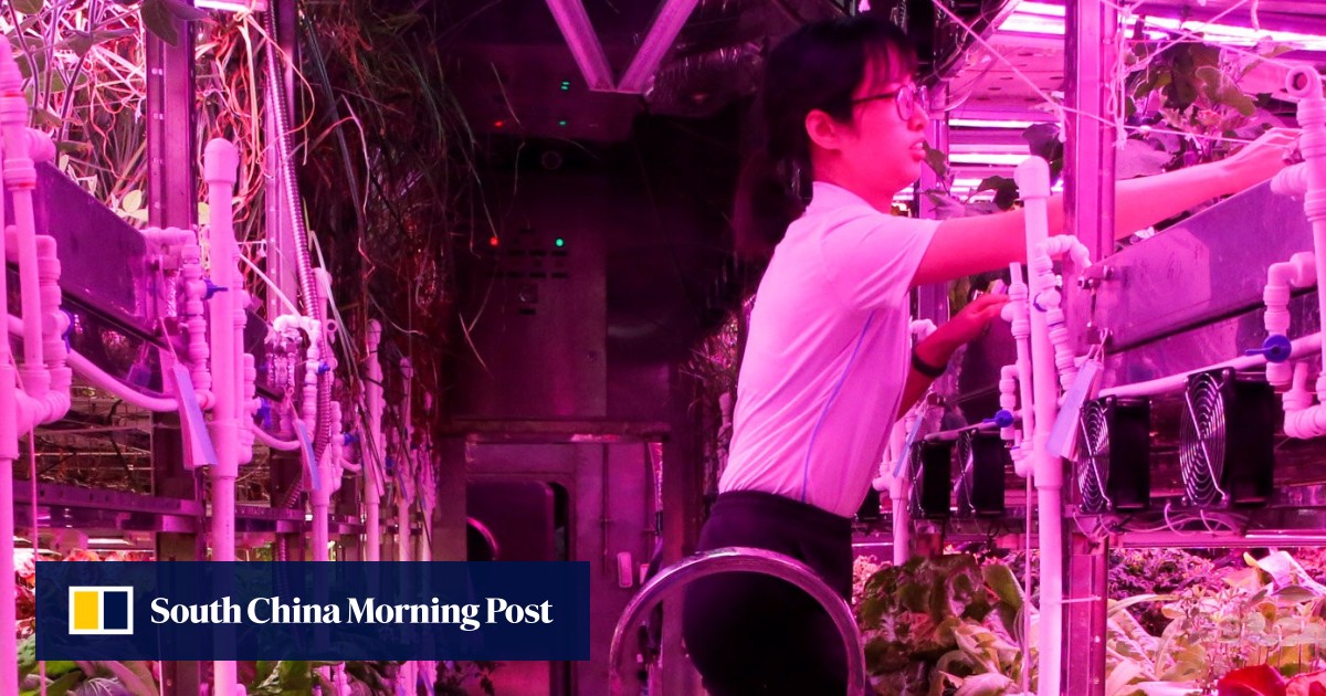 200 days in China’s ‘moon lab’ pushes students to the lunar limit ...