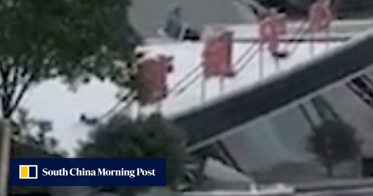 Going, going, gone ... Chinese car showroom collapses in heavy snow ...