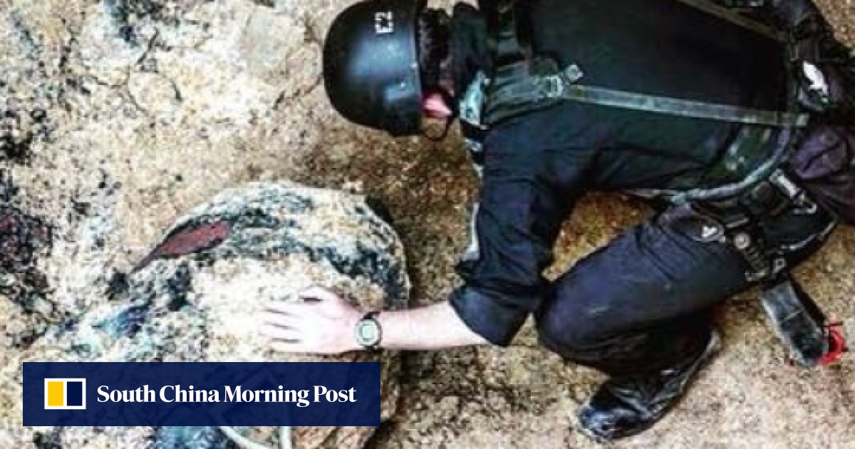 1,300 evacuated as Hong Kong police defuse unexploded 450kg American ...