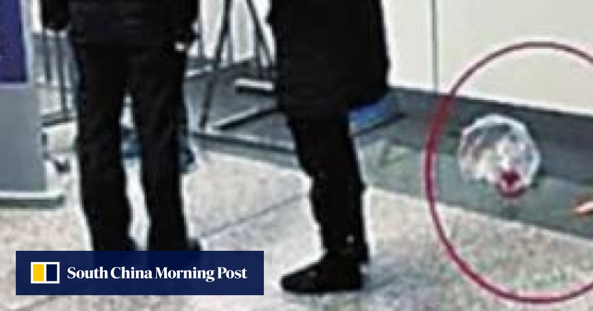 Chinese man kills his goldfish at subway station in fit of petulance ...