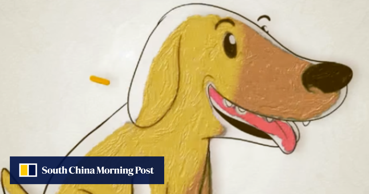 Dogs see the world very differently from human beings – here’s how it ...