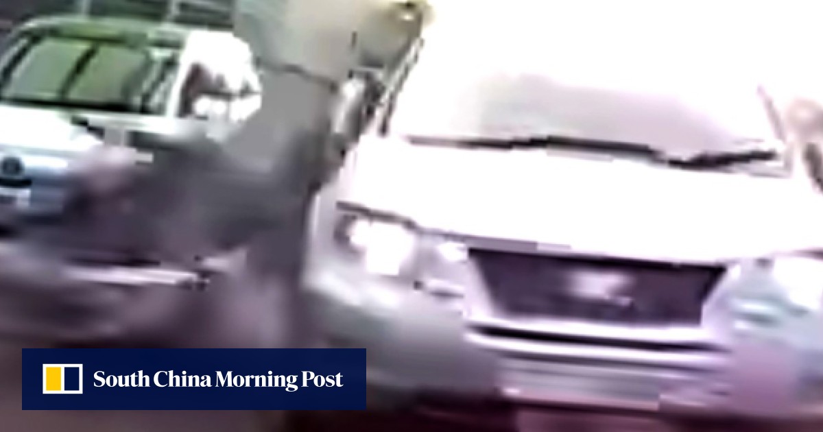 Motorist in ‘human shield’ case lodges complaint against Hong Kong ...