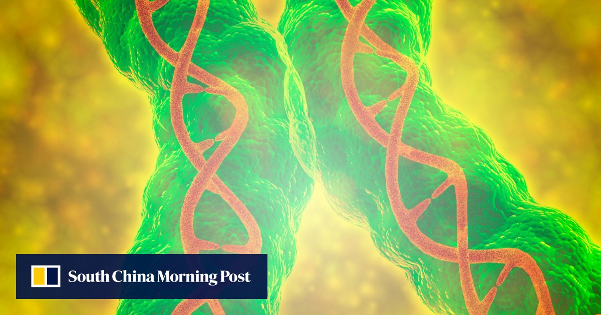 Drugs to slow the ageing process a step closer thanks to decoding of ...