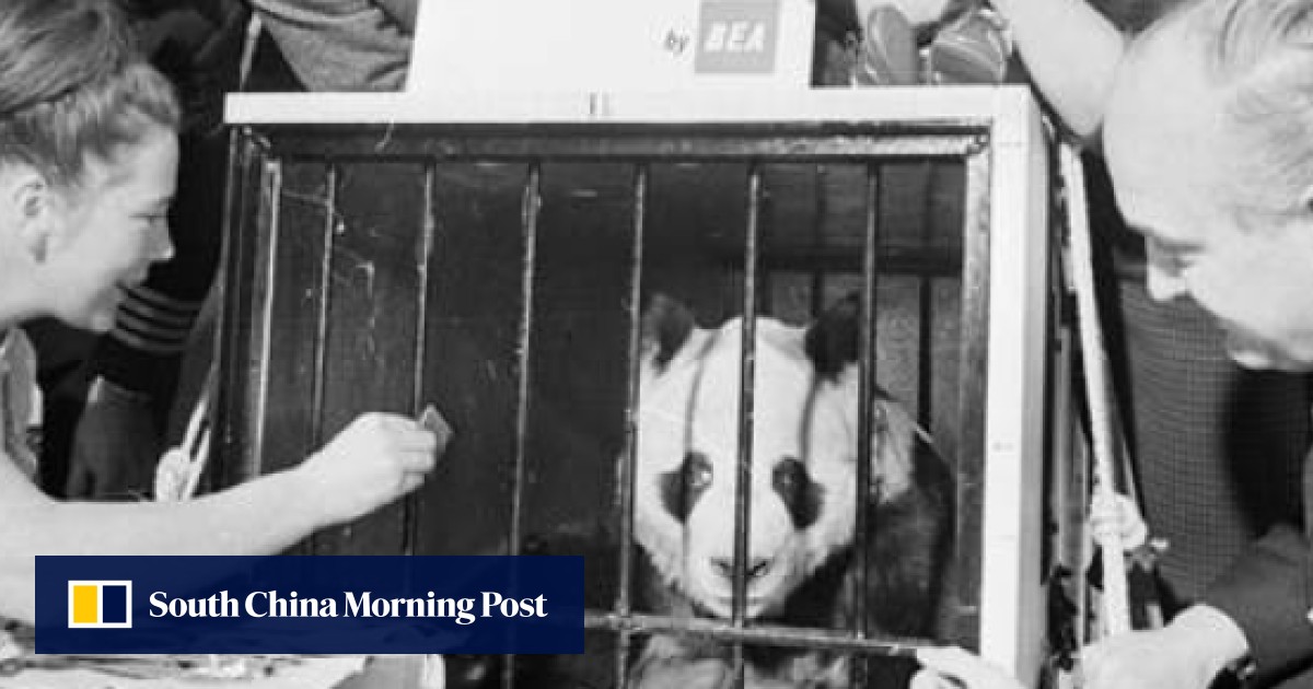 5 of China’s most memorable diplomatic gifts to world leaders | South ...