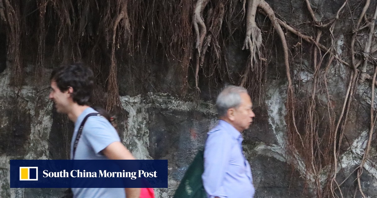 Is there a better way to manage Hong Kong’s iconic, centuries-old stone ...
