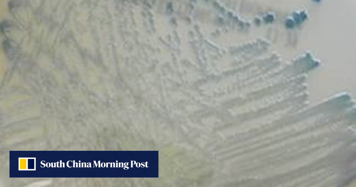 Full screening for superbug begins as Hong Kong hospitals battle rising ...