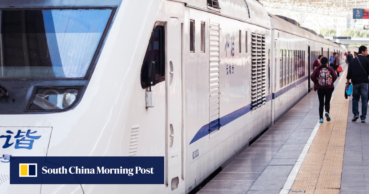 Irate Chinese train traveller leaps security barrier and lands behind ...