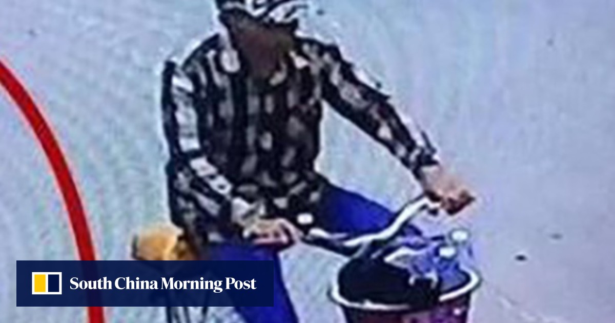 Chinese man ‘confesses’ to killing teenage girl missing since Sunday ...
