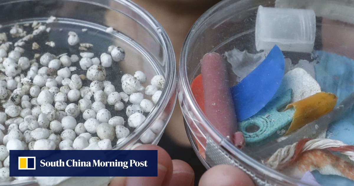 Microplastics in South China Sea at its highest levels, according to ...