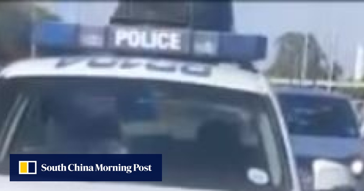 Video | Watch: dramatic robbery of South African cash van in broad ...