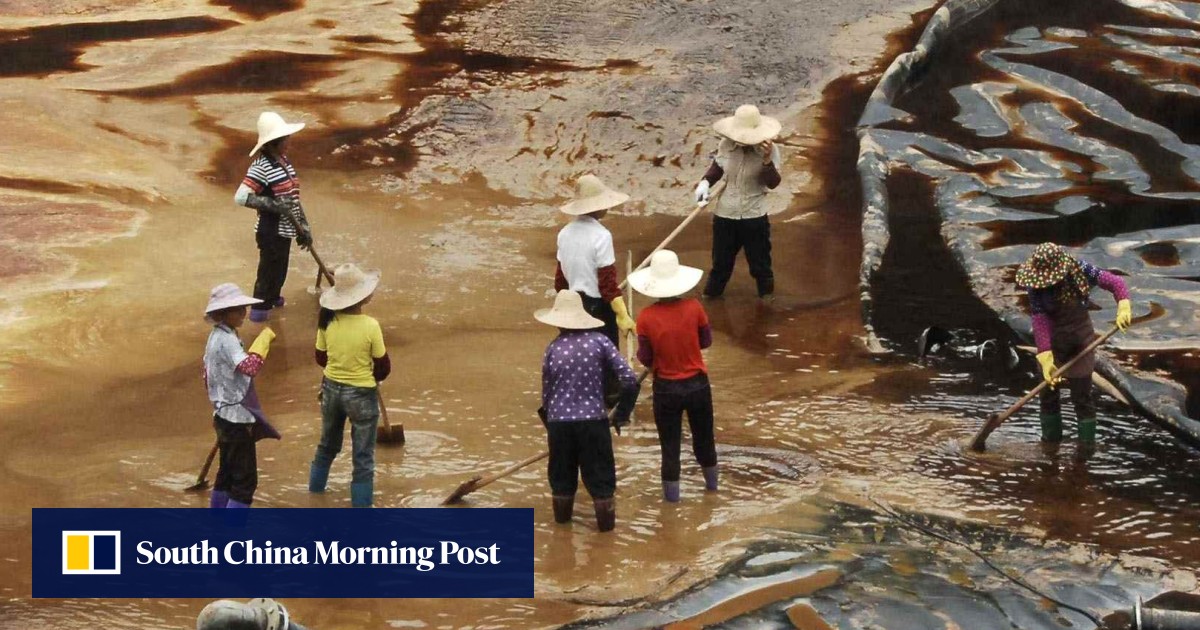 China’s President Xi Jinping calls for increased efforts to tackle ...