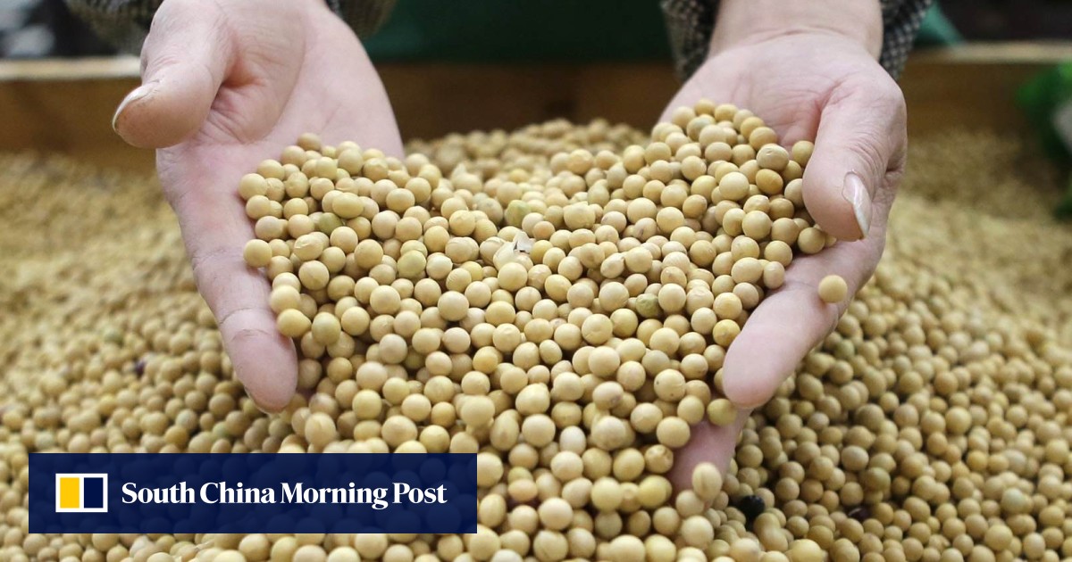 China orders farmers to grow more soybeans despite deal to buy more ...